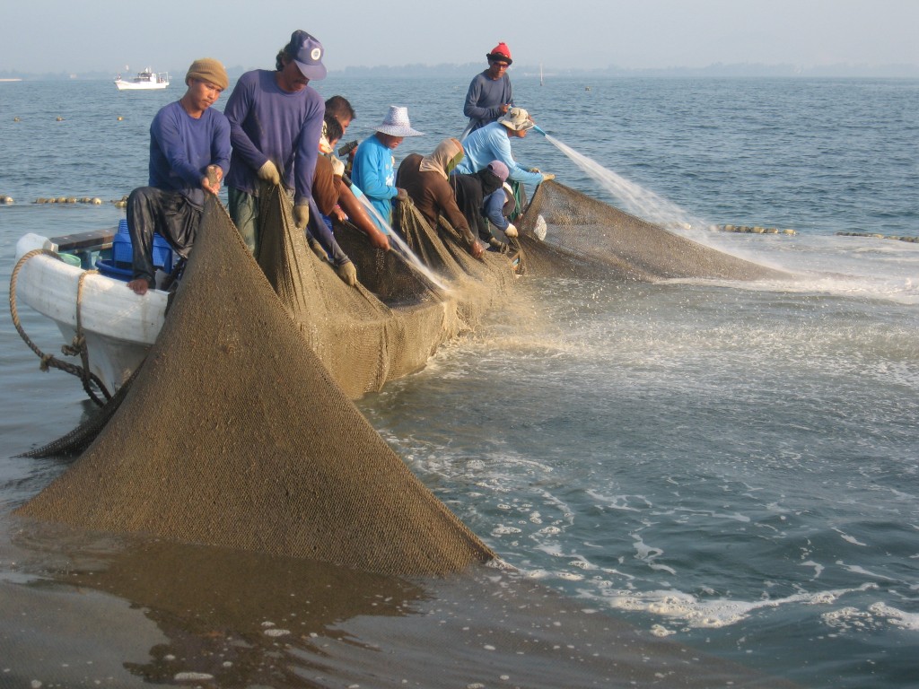 Set-net fishery introduced by a fisher group (Rayong Province, East ...